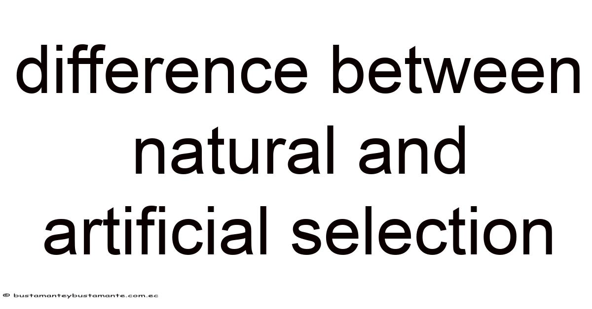 Difference Between Natural And Artificial Selection