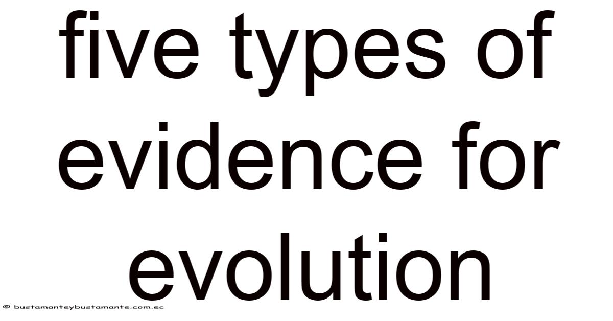 Five Types Of Evidence For Evolution